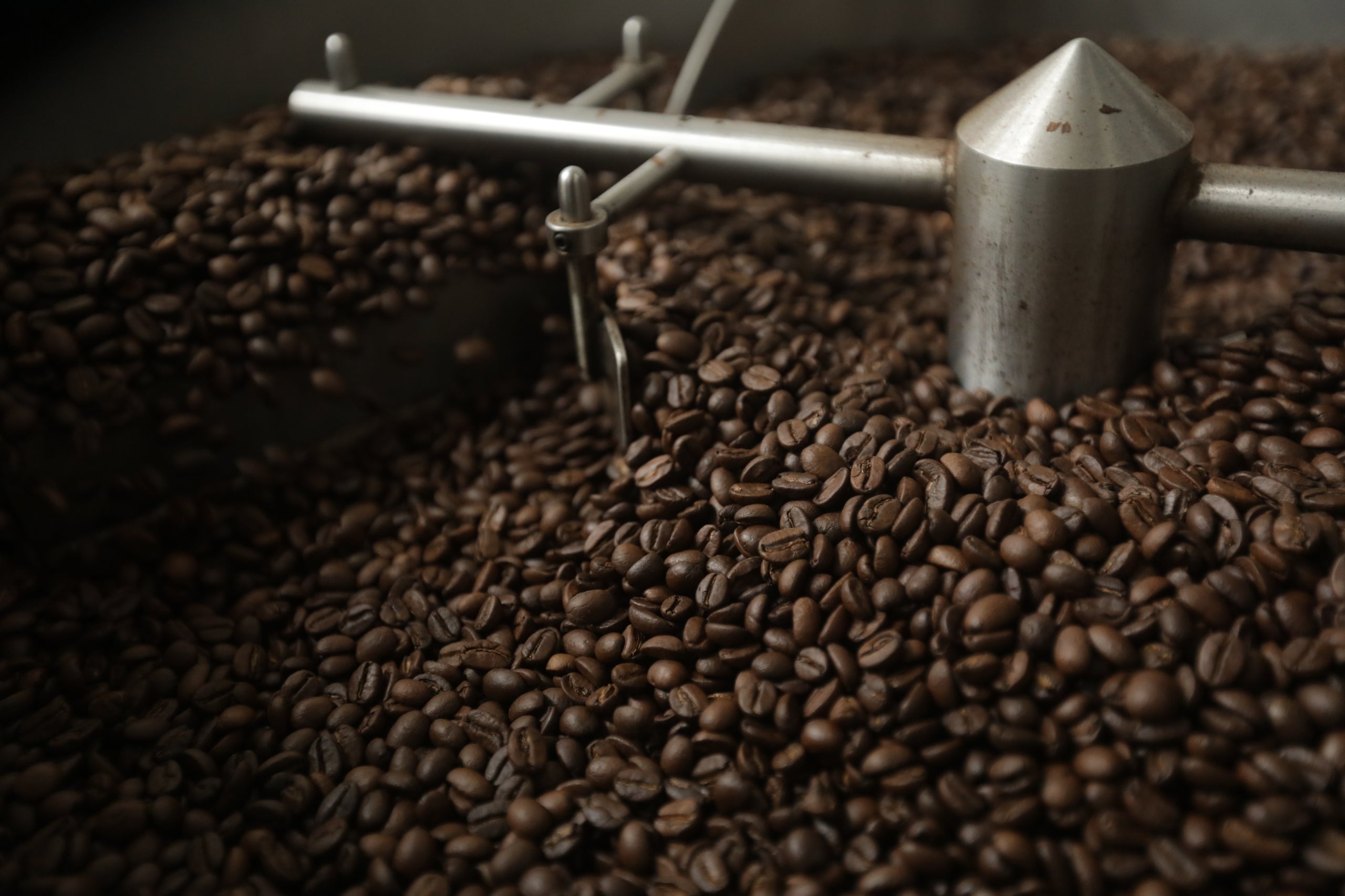 Elevating the Coffee Experience – HumbleBean Coffee